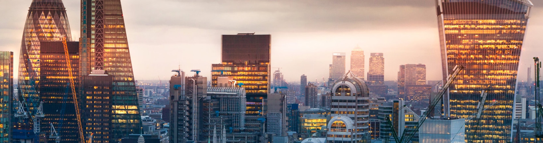 Building Control Systems Project Management from TF Tull